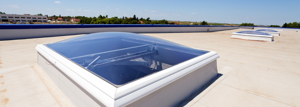 Sorhea (EN) – Home